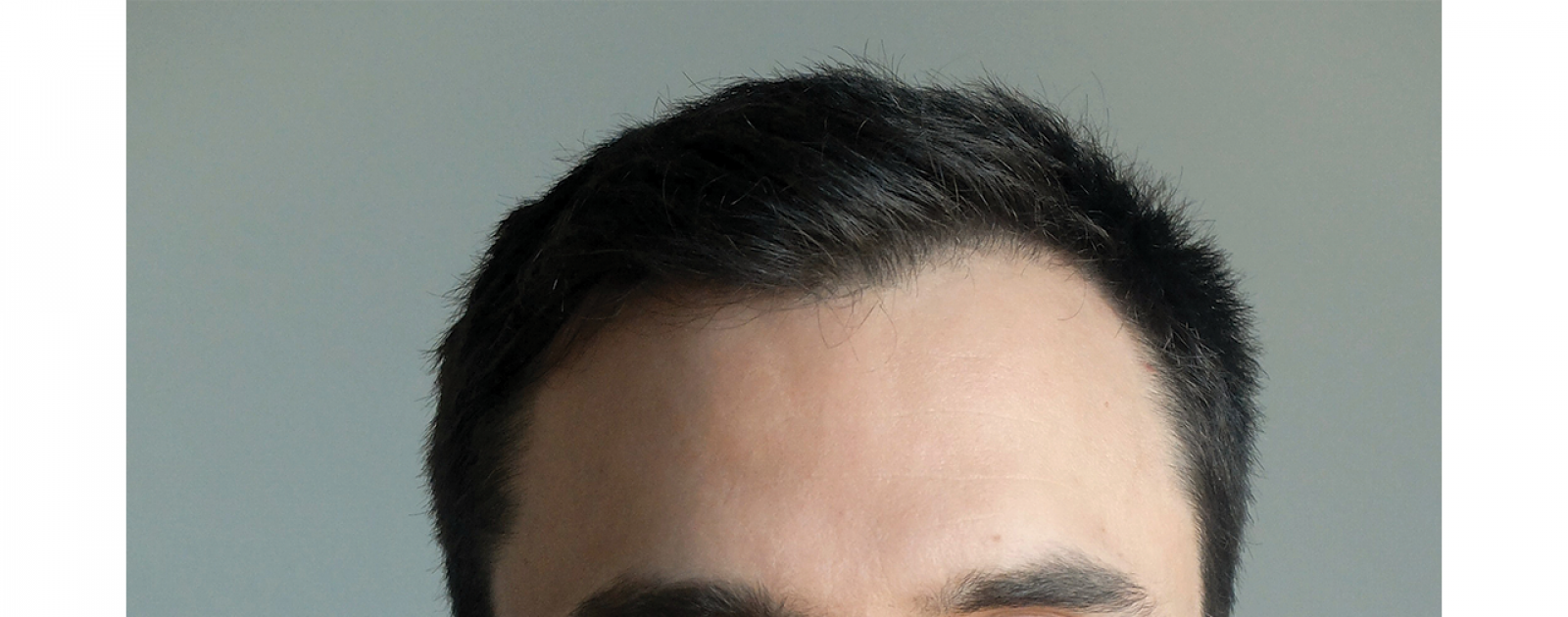 Séminaire : Martin Genet | LMPS